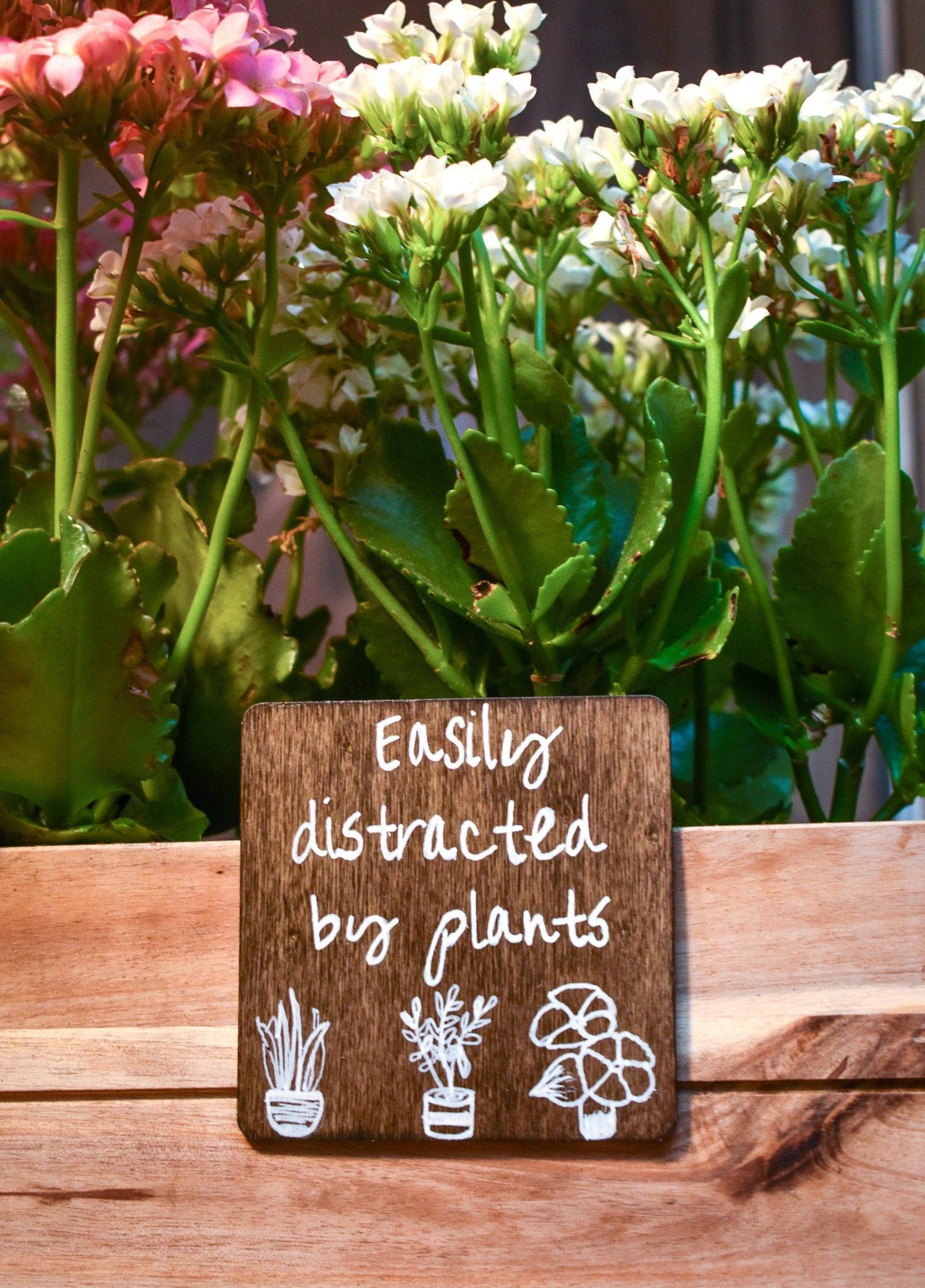 Plant Signs for Garden or Pots Interchangeable Easy - Etsy