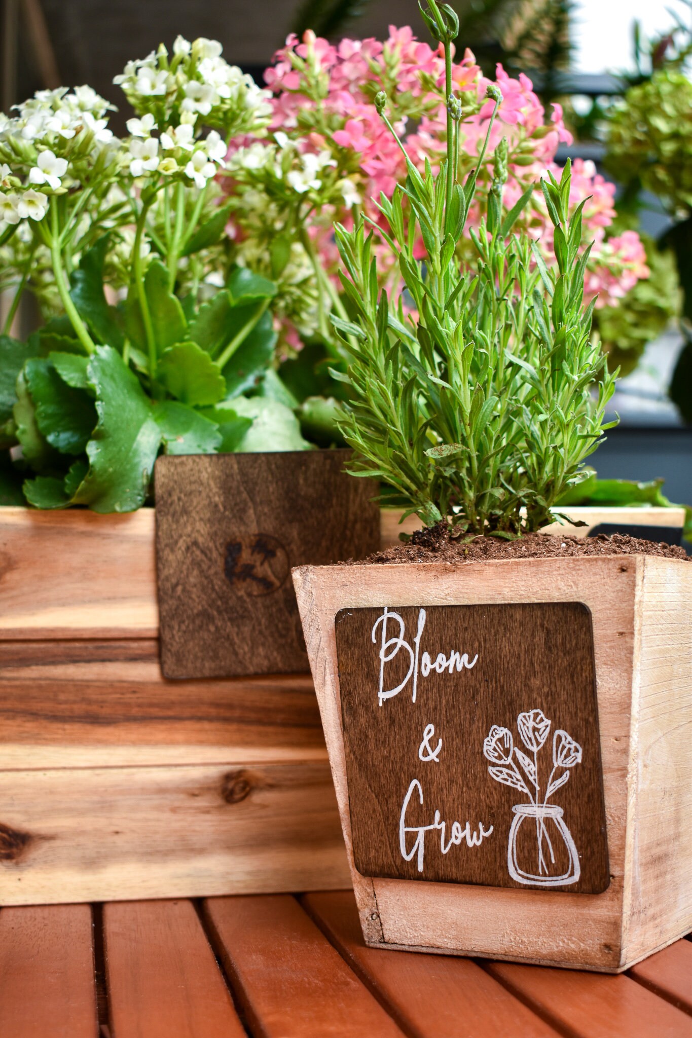 Rótulos de plantas para jardín o macetas Bloom and Grow Pantalla ...