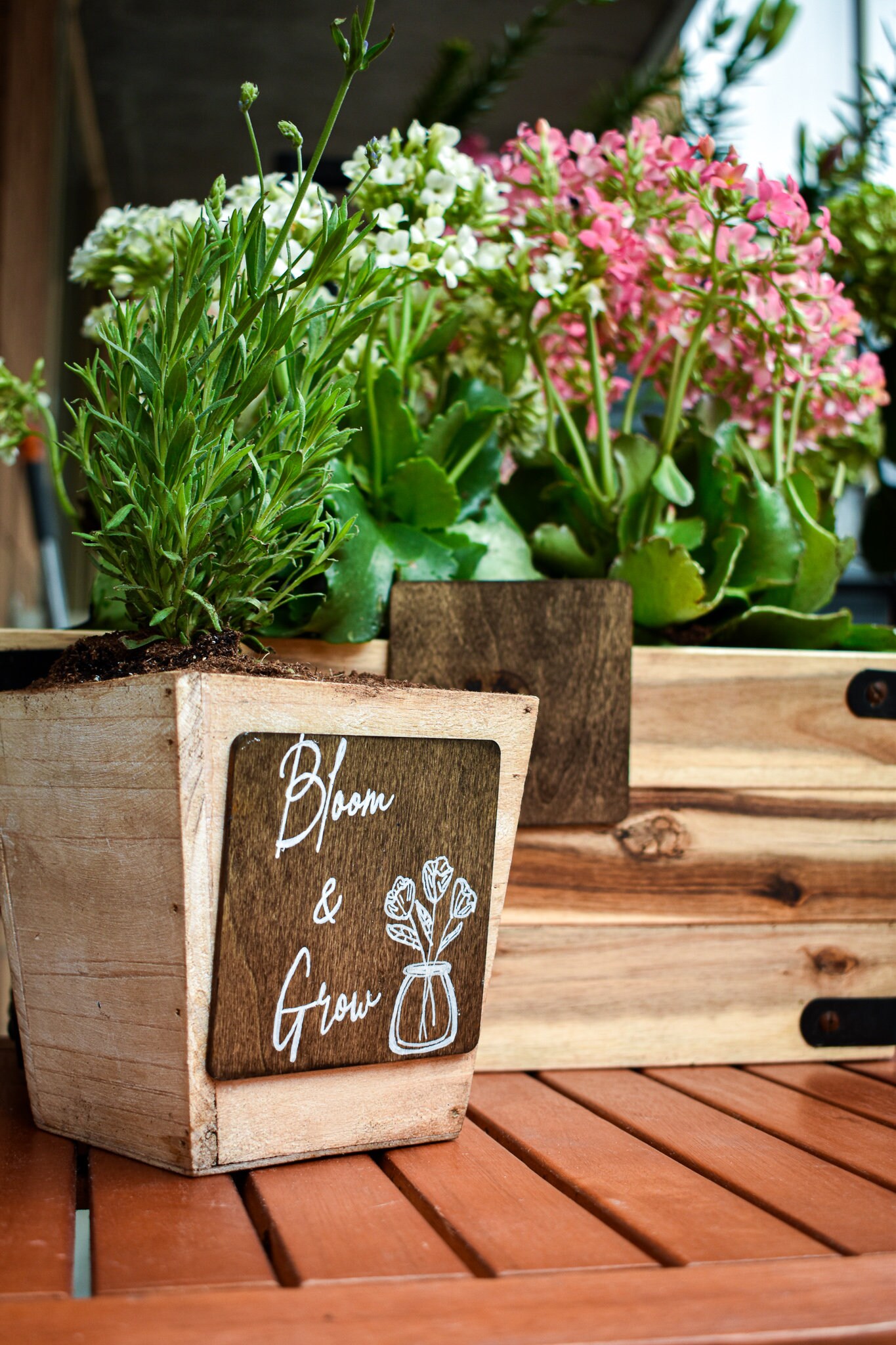 Rótulos de plantas para jardín o macetas Bloom and Grow Pantalla ...