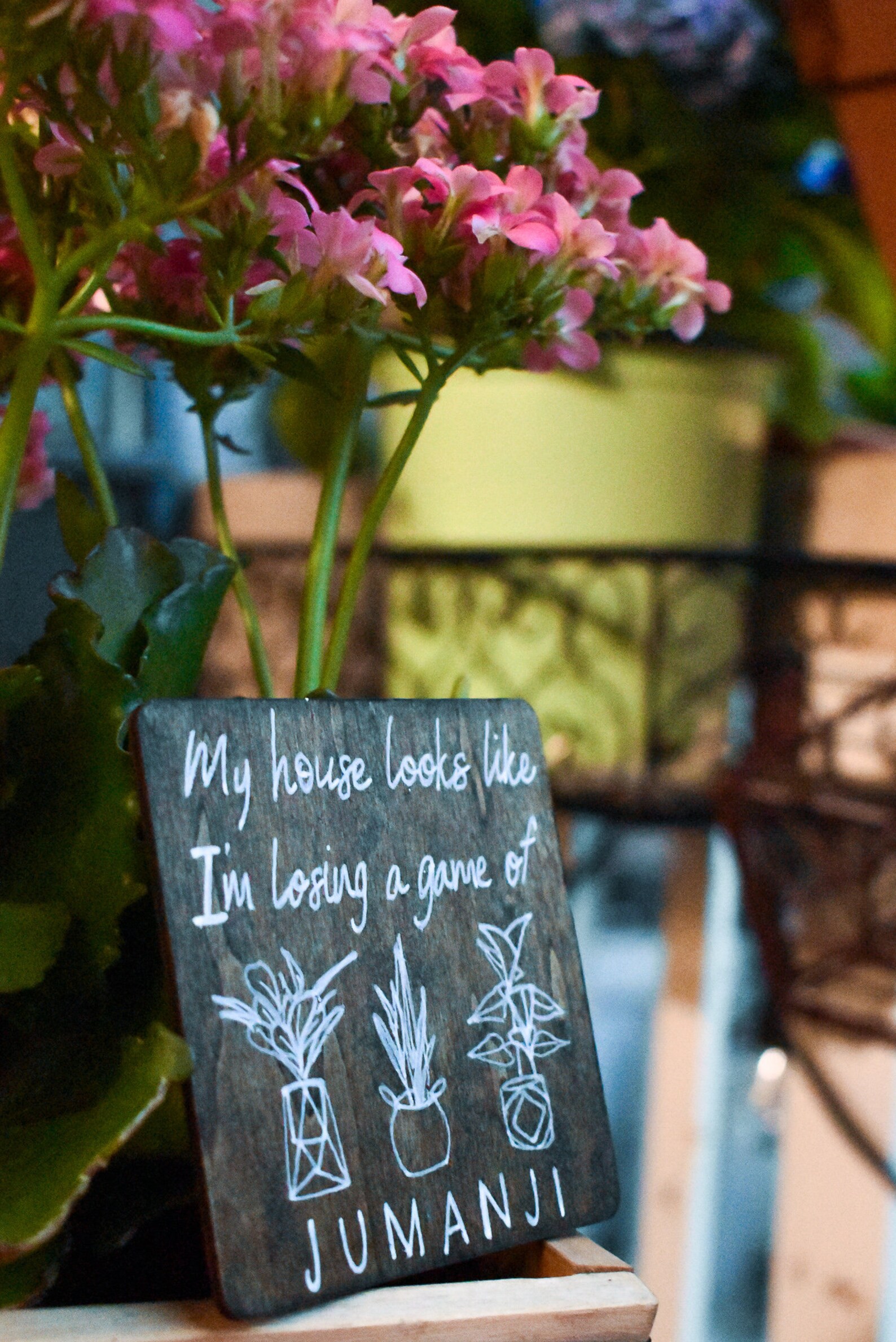 Plant Sign for Garden or Pots My house looks like | Etsy