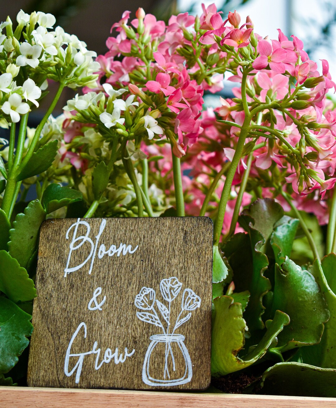 Rótulos de plantas para jardín o macetas Bloom and Grow Pantalla ...