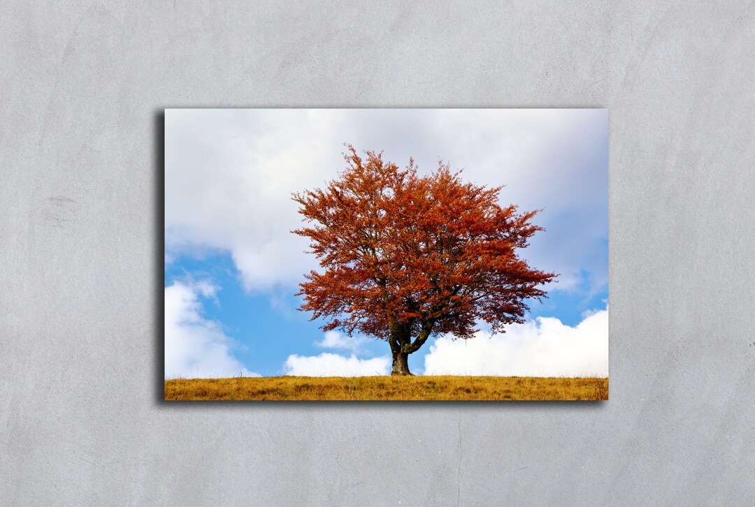 Fall Tree Photography Printables Autumn Landscapes Digital Download ...