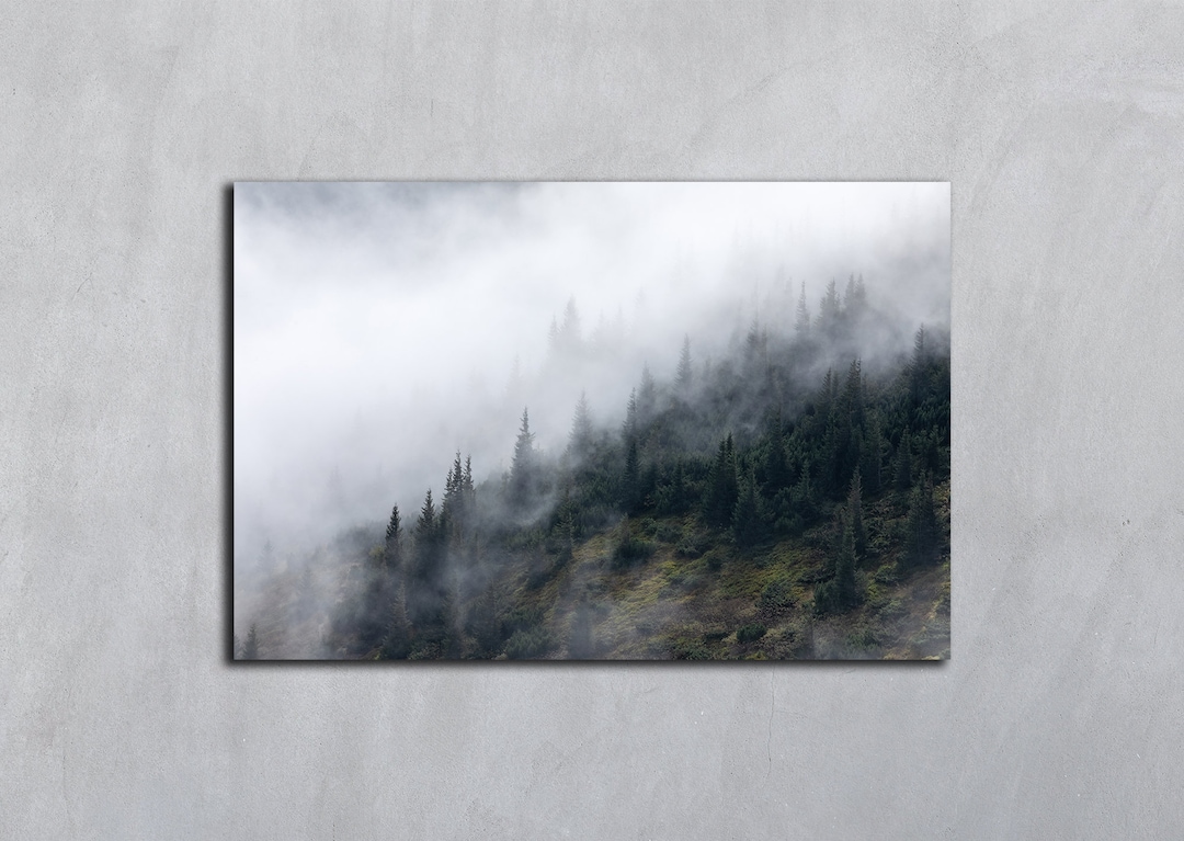 Fog Prints for Download Tree Photography Printables Horizontal Wall Art ...