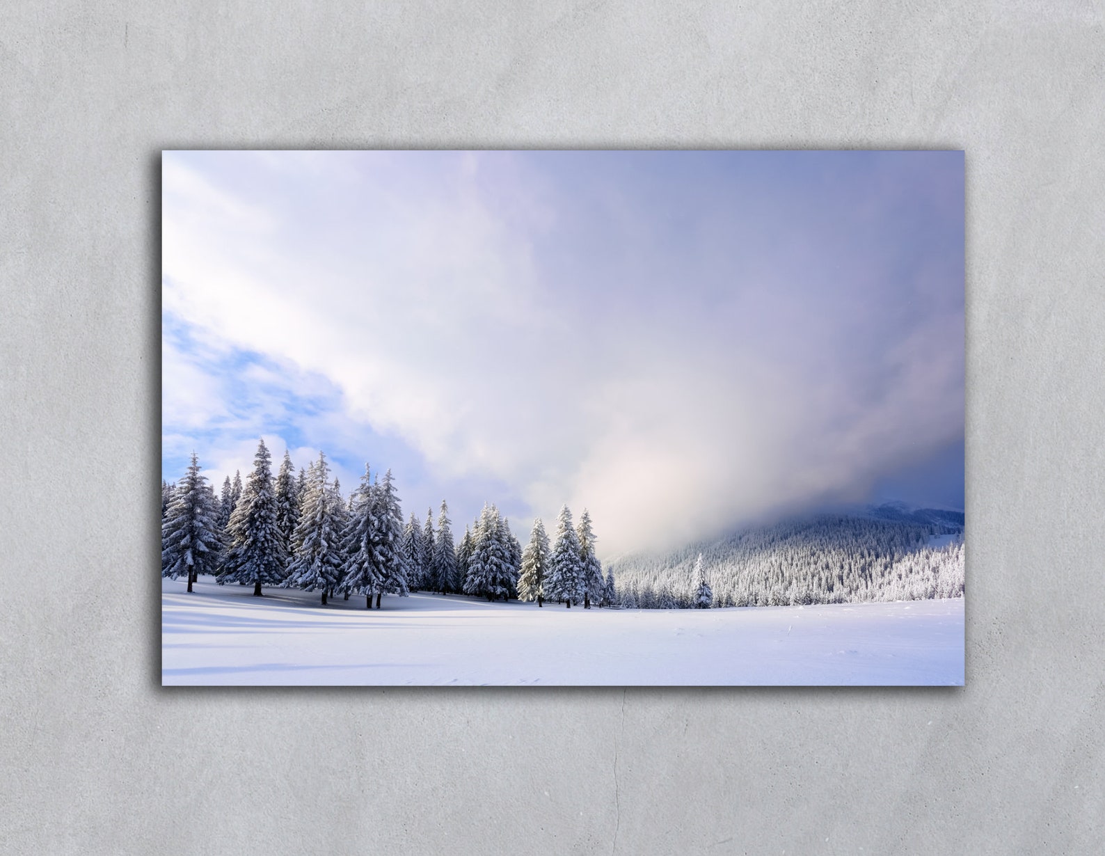 Winter Scenery, Snowy Forest Printable Photography, Tree Digital ...