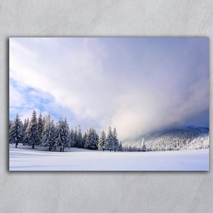 Winter Scenery, Snowy Forest Printable Photography, Tree Digital ...