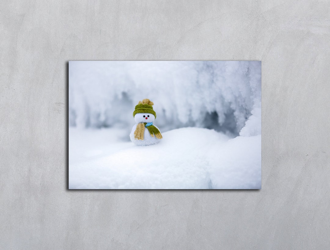 Snowman Photo, Holiday Digital Download, Winter Festive Backgrounds ...