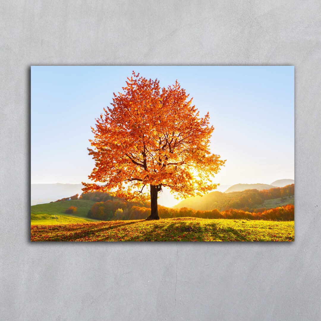 Autumn Tree Photography Printables Autumn Landscapes Fall Digital ...
