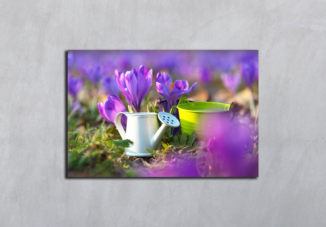 Garden Printable Crocus Flower Photography Digital Floral Print Purple ...
