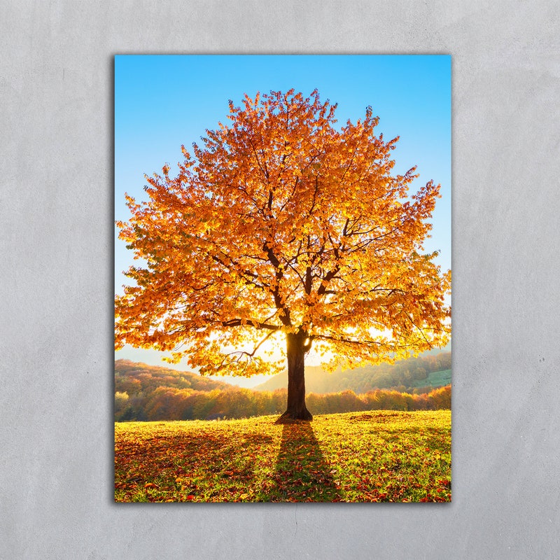 Autumn Trees Print - Etsy