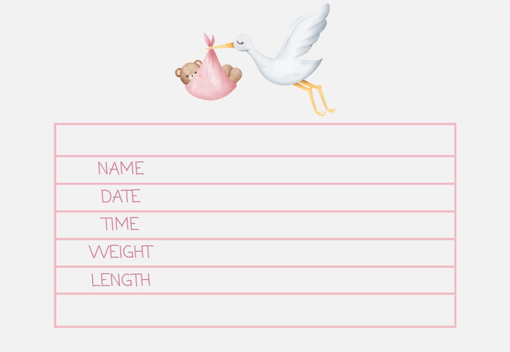 Printable Birth Stat Card BUNDLE, Hospital Crib Card for Baby, Baby ...