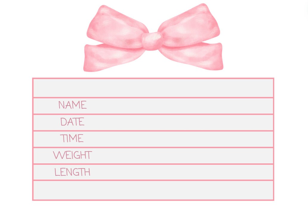 Printable Birth Stat Card BUNDLE, Hospital Crib Card for Baby, Baby ...