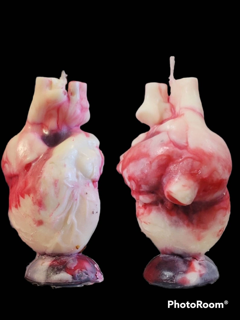 Rotting Bleeding Two Tone Anatomically Correct Heart Made to Order - Etsy