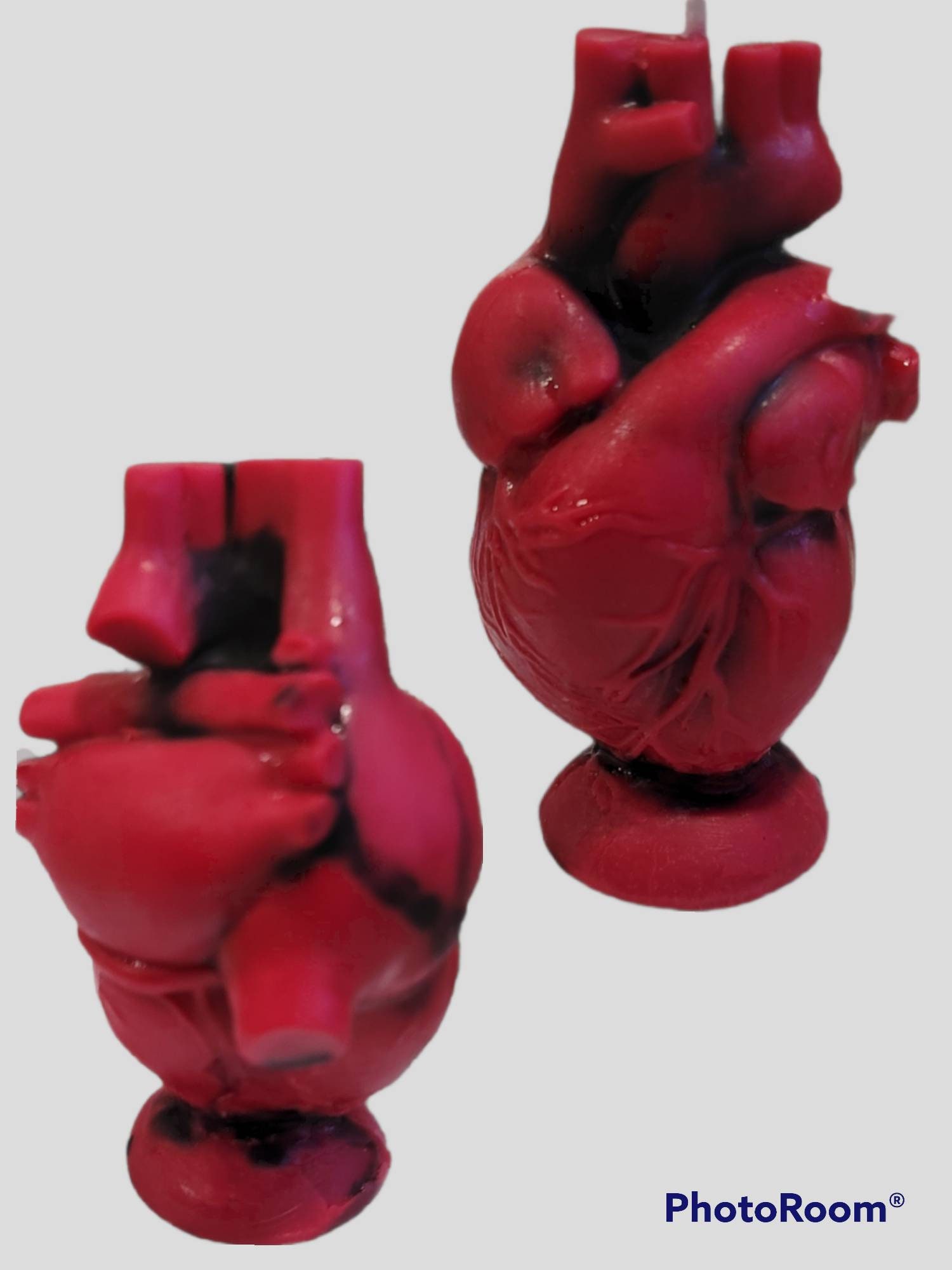 Rotting Bleeding Two Tone Anatomically Correct Heart Made to Order - Etsy