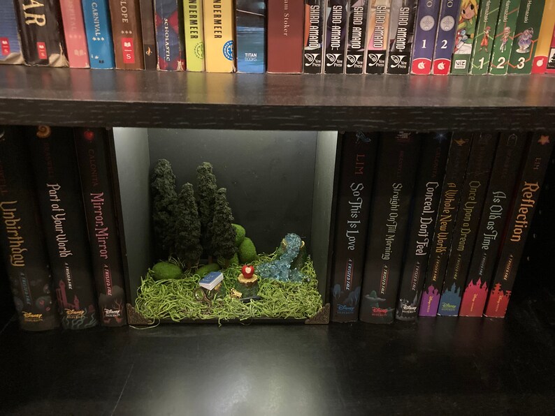 Character Themed Book Nook - Etsy