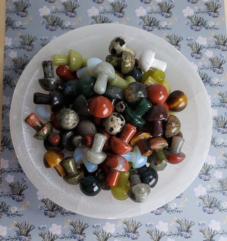 Crystal Mushroom Multiple Types Mushroom Carving Crystal - Etsy