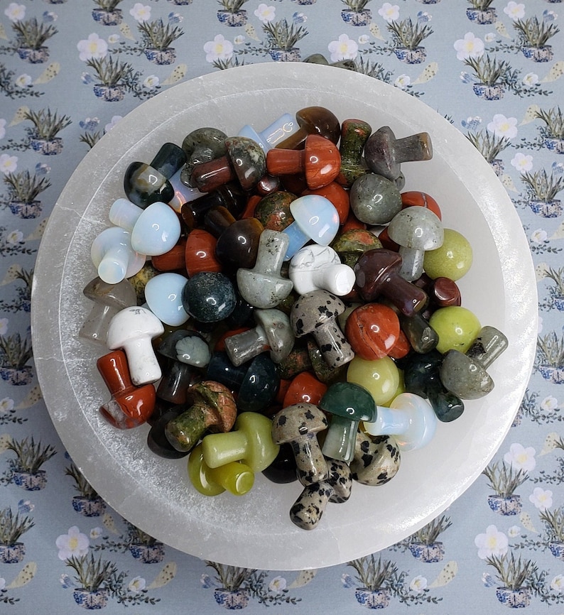 Crystal Mushroom Multiple Types Mushroom Carving Crystal - Etsy