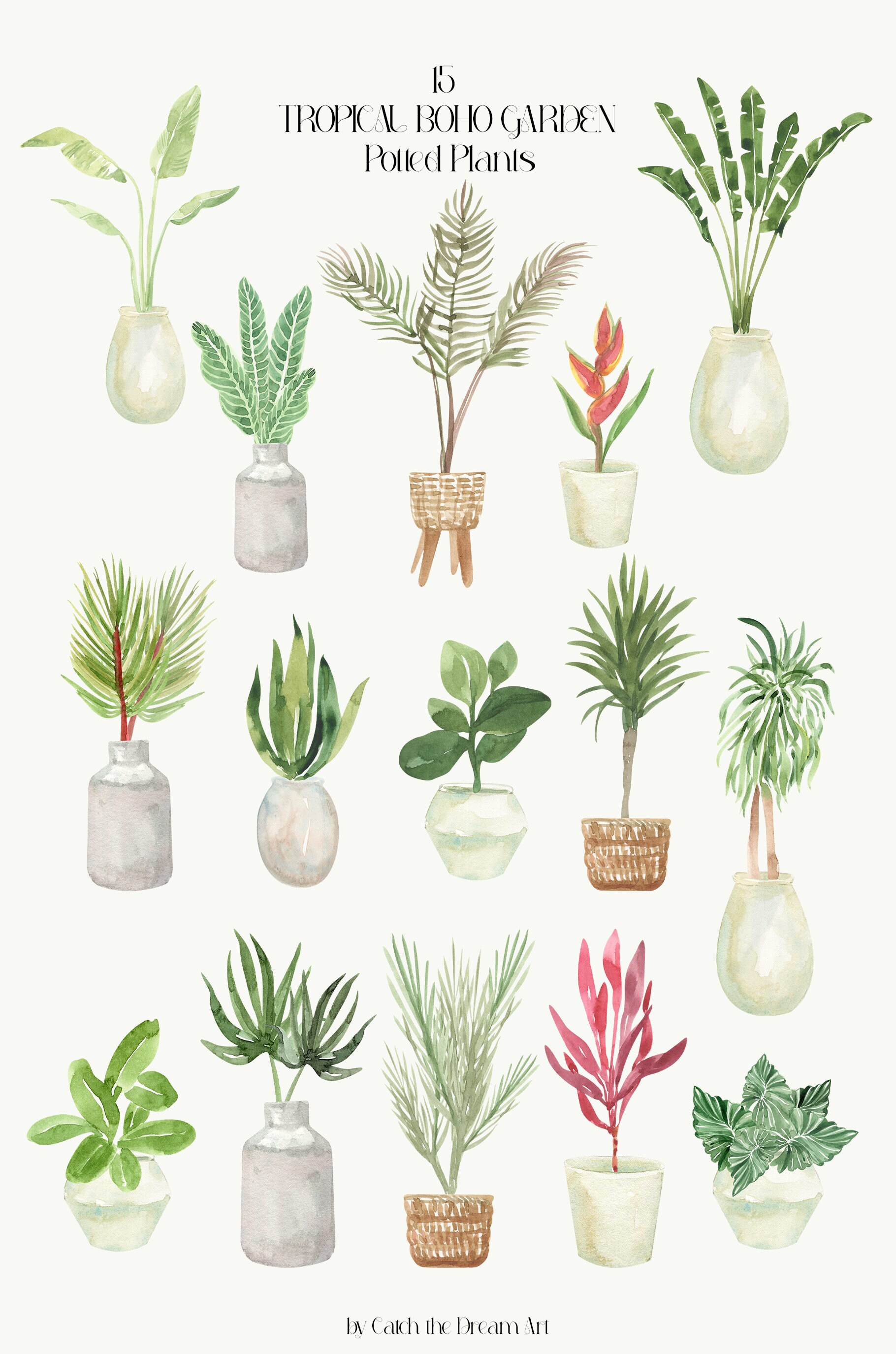 Watercolor Tropical Plant Clipart: Potted Jungle Leaves (PNG Digital ...