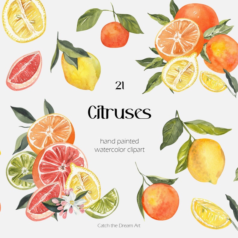 Watercolor Citrus Clipart Lemon Orange Lime Grapefruit Clip Art ...