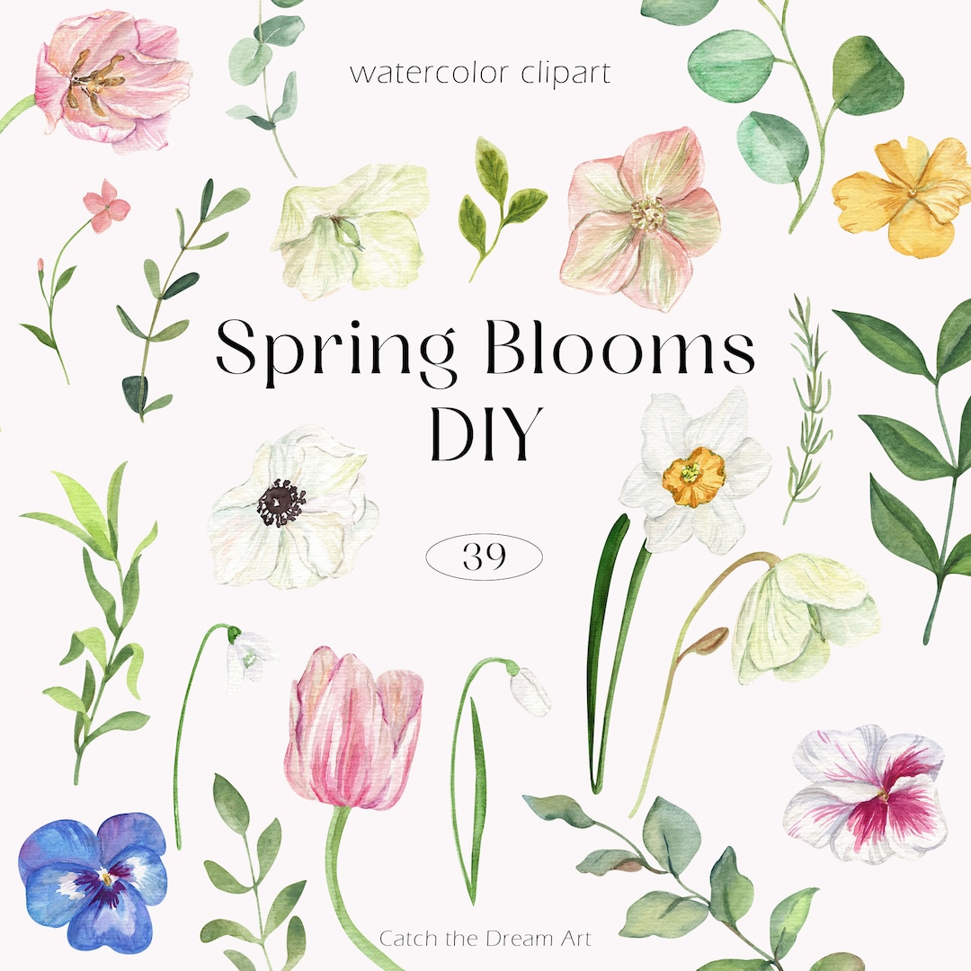Watercolor Florals DIY Clipart Spring Blooms Pastel Garden Hellebore ...