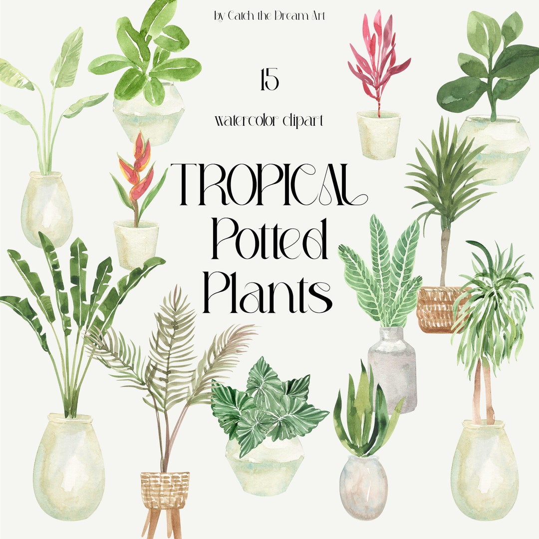 Tropical Plants Watercolor Clipart Potted Plants Jungle Home Garden ...