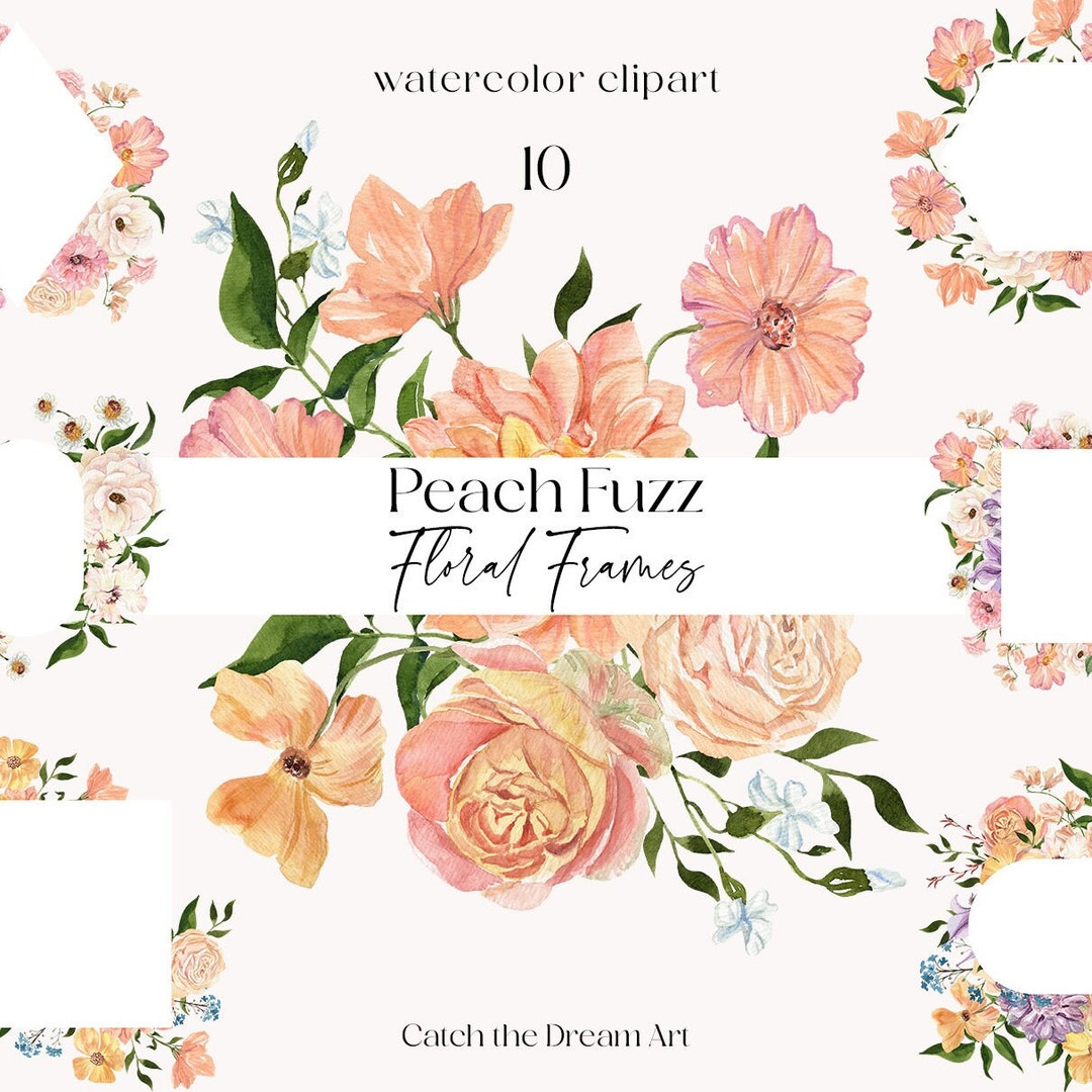 Watercolor Peach Fuzz Floral Frame Clipart - Spring Blush Flower Frame ...