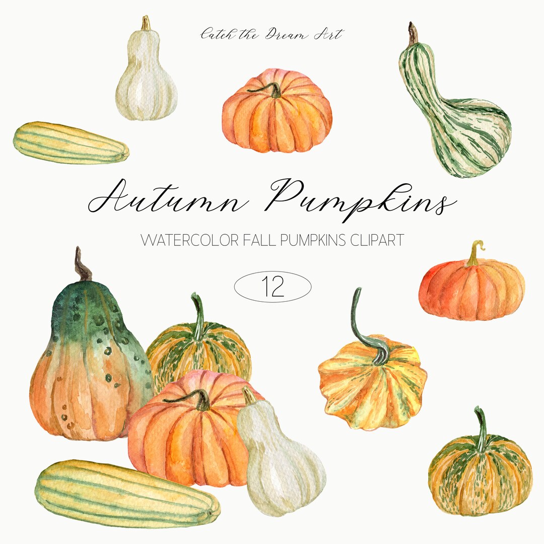 Watercolor Pumpkins Clipart - Autumn Pumpkin Butternut Squash Gourd ...
