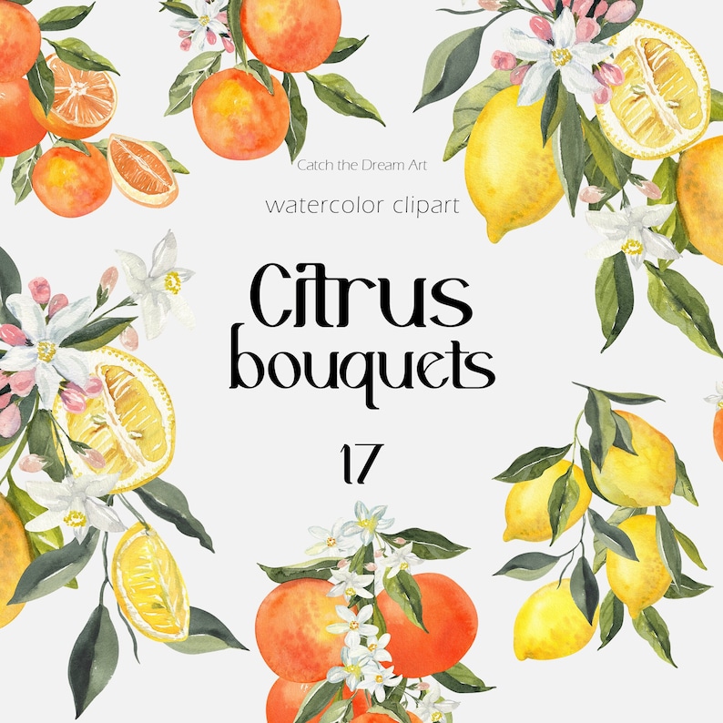 Watercolor Citrus Bouquets Clipart Lemon and Orange Fruit Arrangements ...