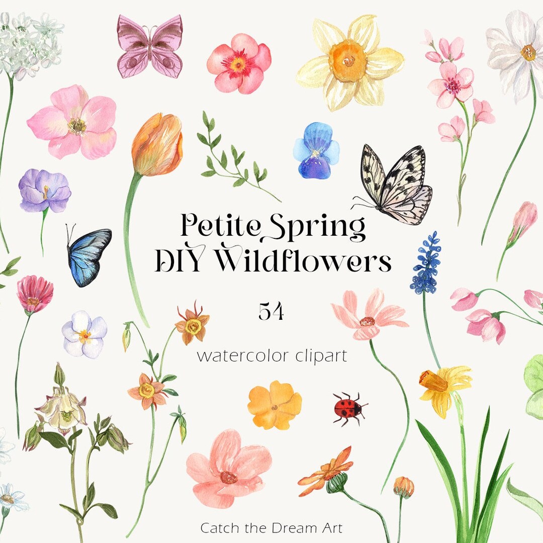 Watercolor Spring Florals Clipart -petite DIY Wildflowers Meadow Flower ...