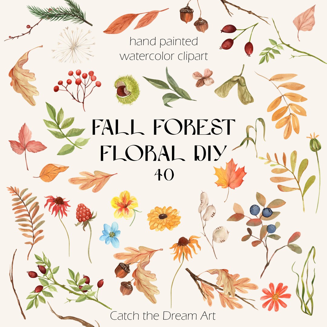 Watercolor Fall Clipart: Forest Floral DIY Set (digital Download) - Etsy