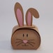 Gift Box Easter Bunny and Chick Bundle, Cut File and Print With Craft ...