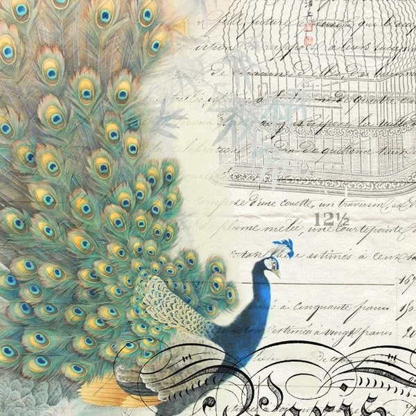 Paper Peacock - Etsy