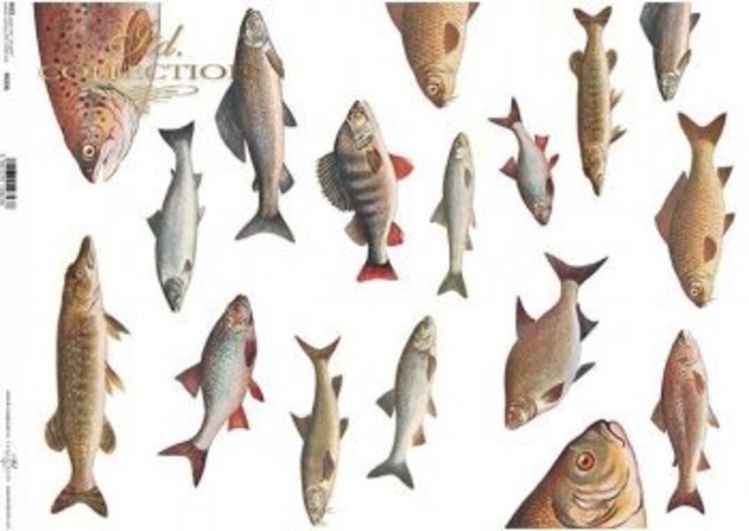 Fish ITD Collection Decoupage Paper Size A3 420x297 Mm - Etsy