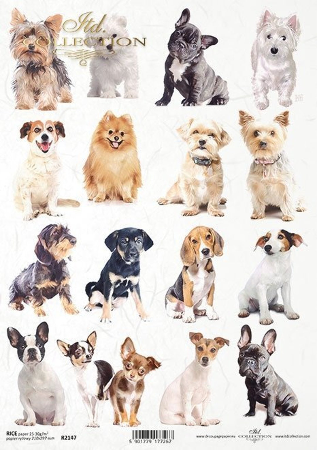 Dogs ITD Decoupage Rice Paper | Size A4 | 8.27x11.7 in | R2147 - Etsy