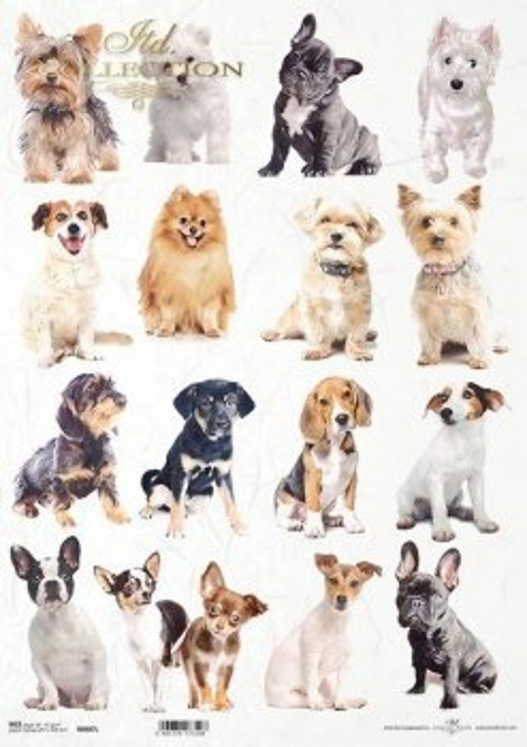 Dogs ITD Decoupage Rice Paper | Size A3 | 16.5inch X 11.7inch | R0987L ...