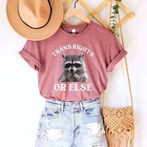 Trans Pride Shirt,trans Rights Shirt,transgender Pride Shirt,lgbtq Gift ...