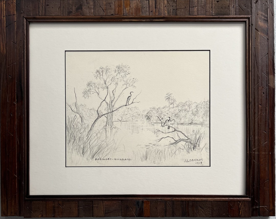 Rare A.E. BACKUS Florida Sketch on Ppaper "anhingas-everglades" Framed ...