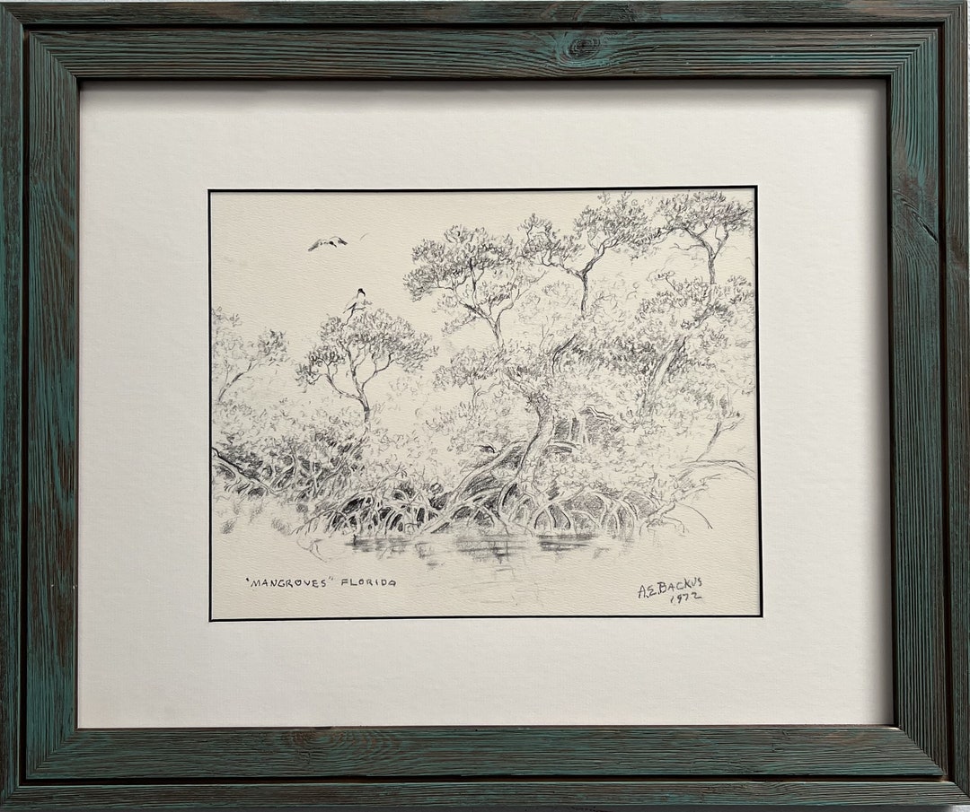 Rare A.E. BACKUS Florida Sketch on Paper "mangroves Florida" Framed ...