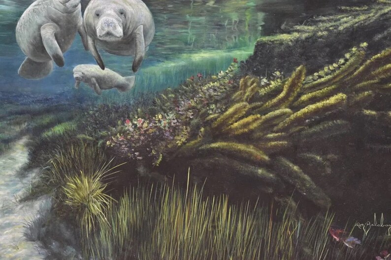 Ron Balaban (AMERICAN 20th Century) Florida Manatee Painting, Signed ...