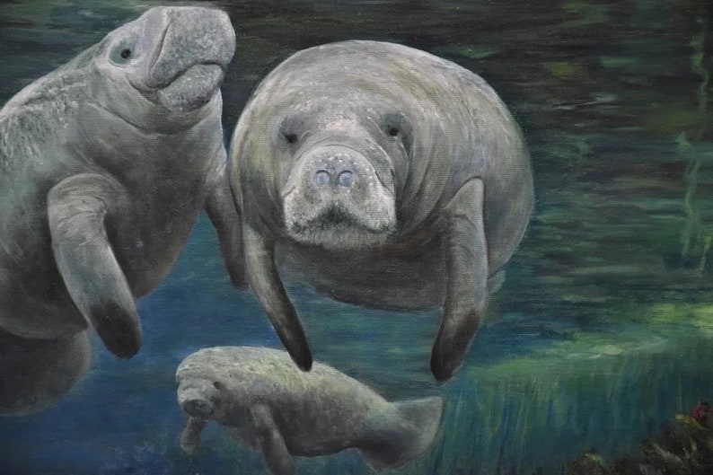 Ron Balaban (AMERICAN 20th Century) Florida Manatee Painting, Signed ...
