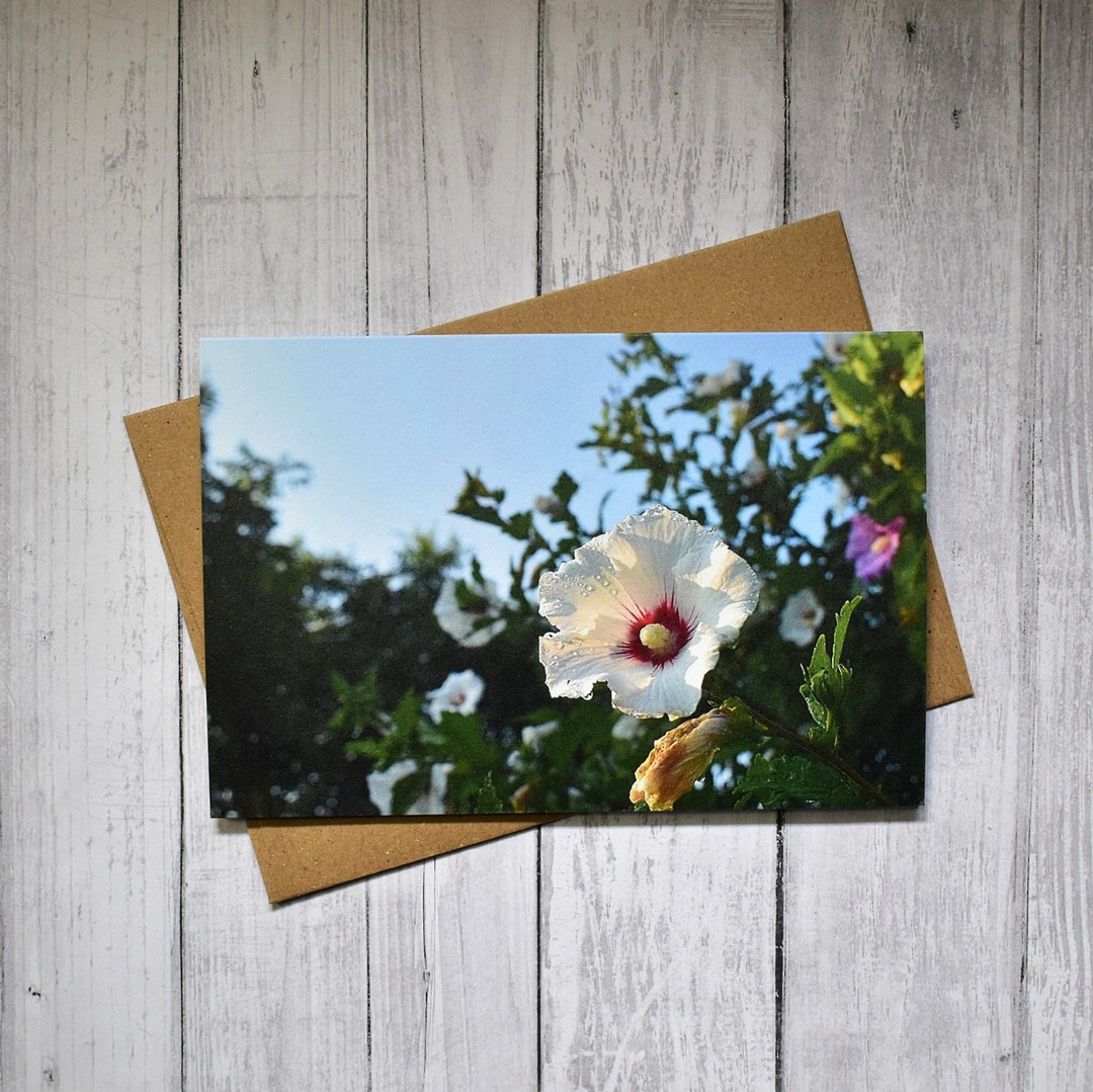 Hawaiian Hibiscus Greeting Card, 4"x6" Blank Card With Kraft Envelope ...