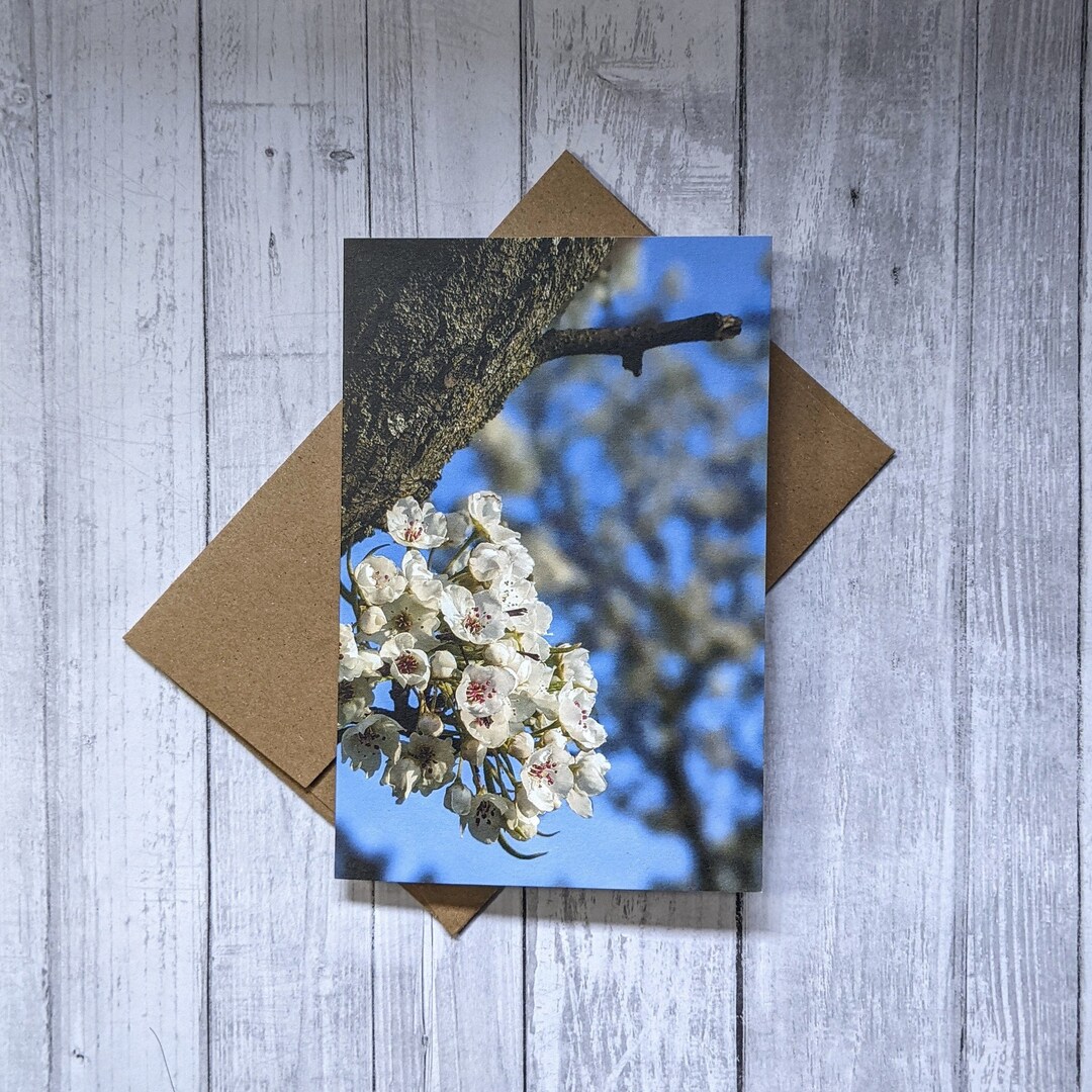 Spring Blooms Greeting Card Flower Greeting Card 4x6 Blank - Etsy