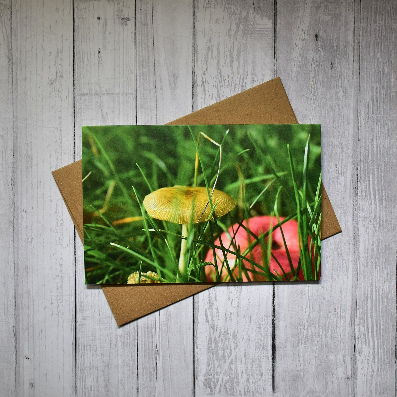 Autumn Harvest Greeting Card, 4x6 Blank Card With Kraft Envelope ...