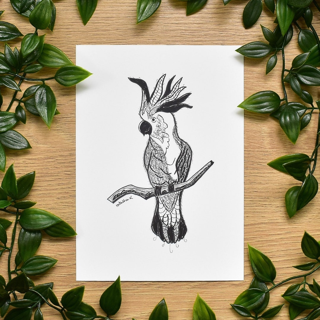 Punk Rock Parrot Art Print, Giclée Fine Art Prints, Home Décor Wall Art ...