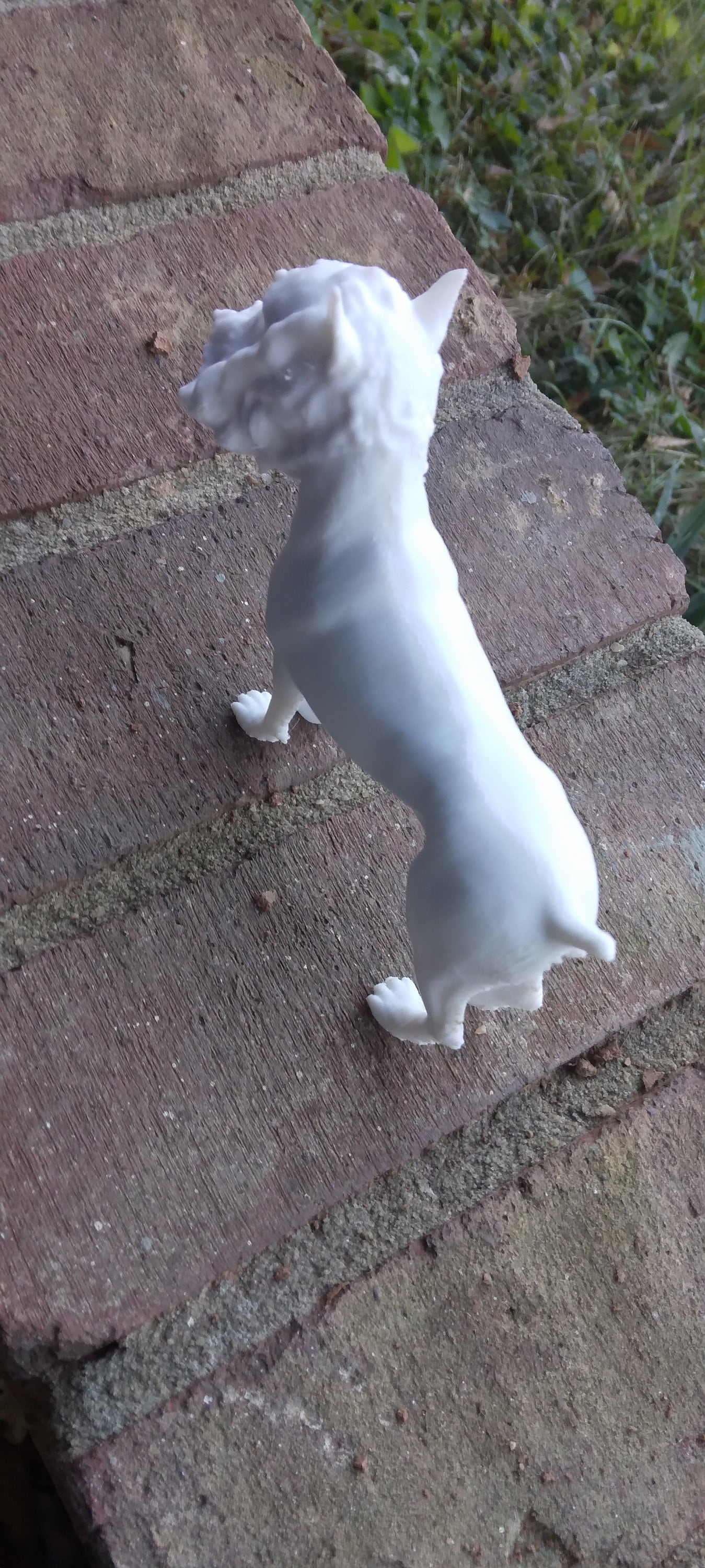 Invasion of the Body Snatchers (1978) Dog Unpainted 3d Printed Now ...