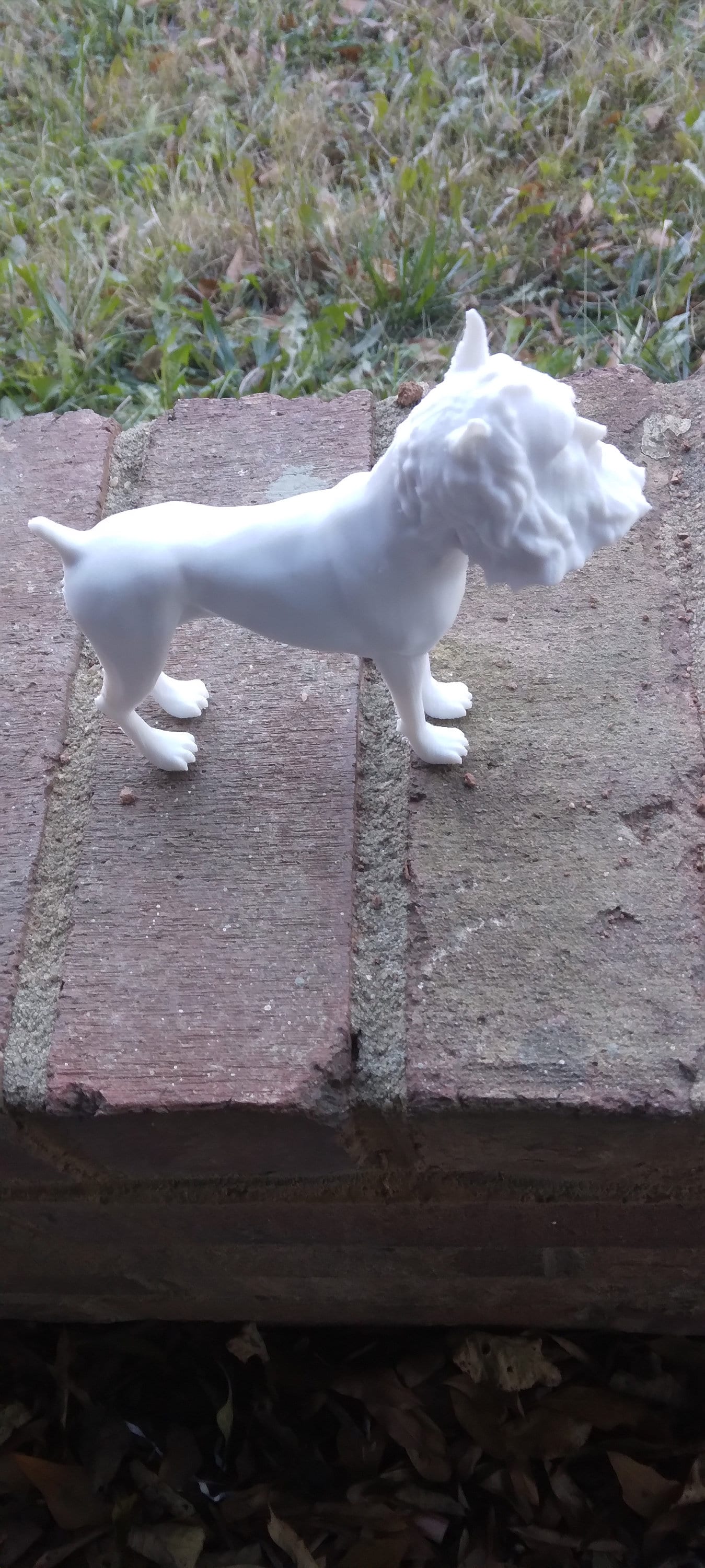 Invasion Of The Body Snatchers 1978 Dog