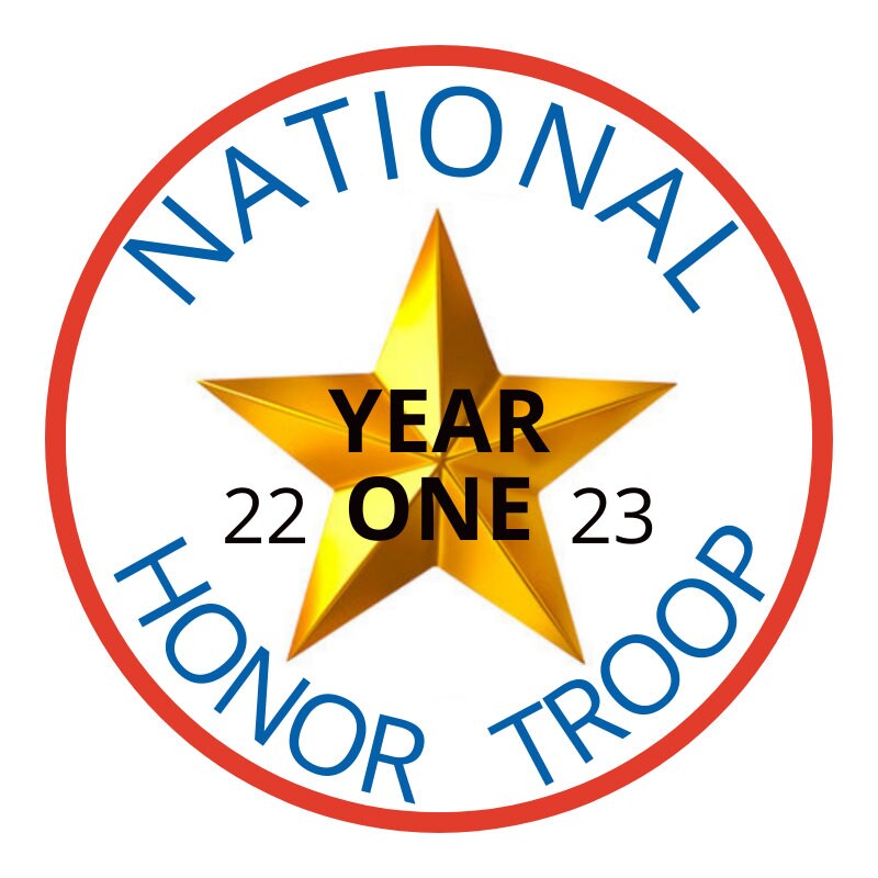 National Honor Troop American Heritage Girls Pins - Etsy