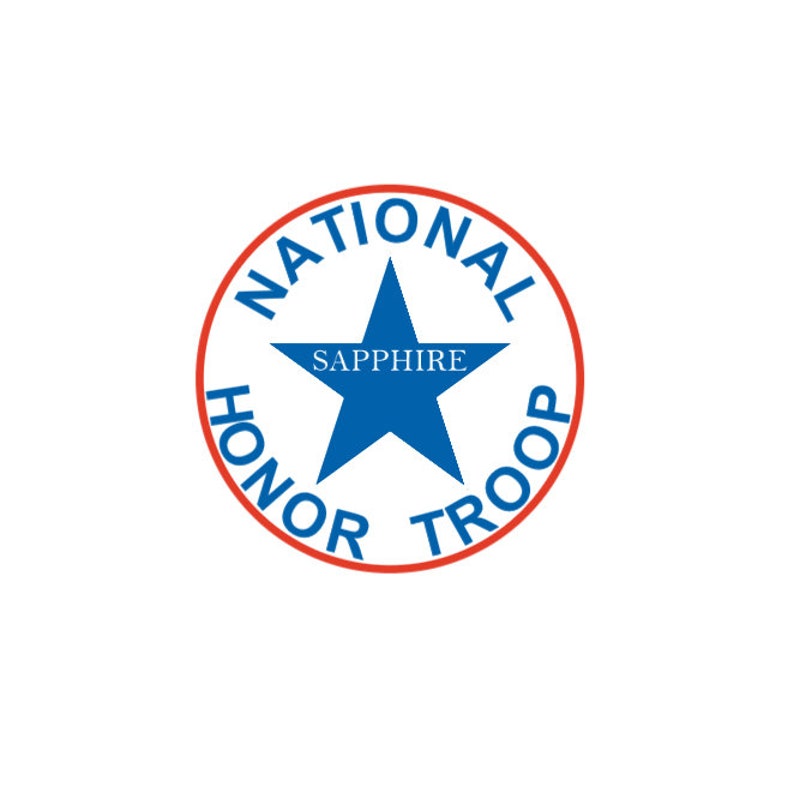 National Honor Troop American Heritage Girls Pins - Etsy