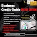 Business Credit Guide Deluxe Edition | Business Credit Guide | Business ...
