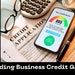Business Credit Guide Deluxe Edition | Business Credit Guide | Business ...