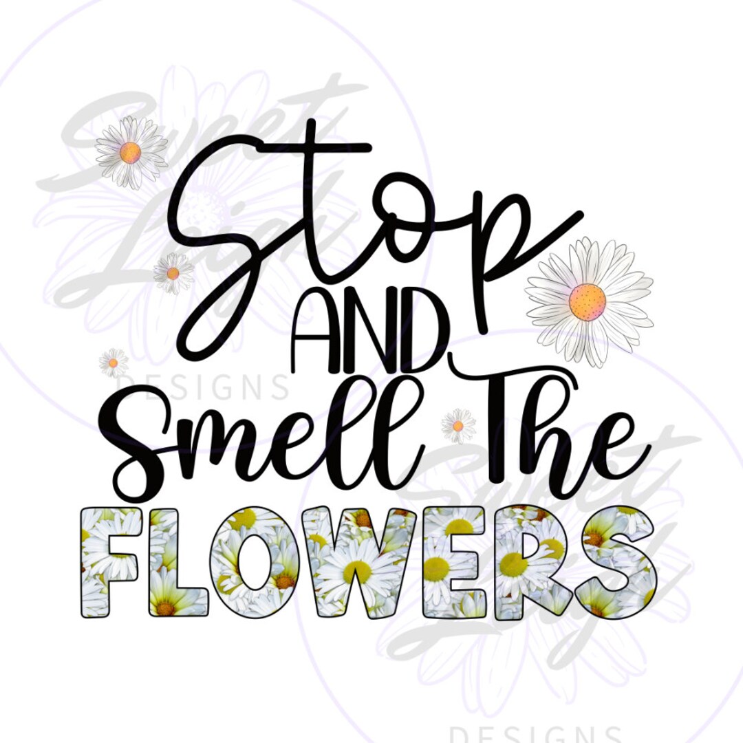 Stop and Smell the Flowers Png, Daisy PNG, Daisies Png, Flower Png ...
